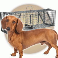 Sklopce na psy | AGROFORTEL.CZ